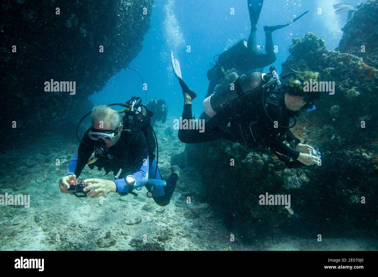 Group of divers swimming close to the bottom reef Stock Photo - Alamy