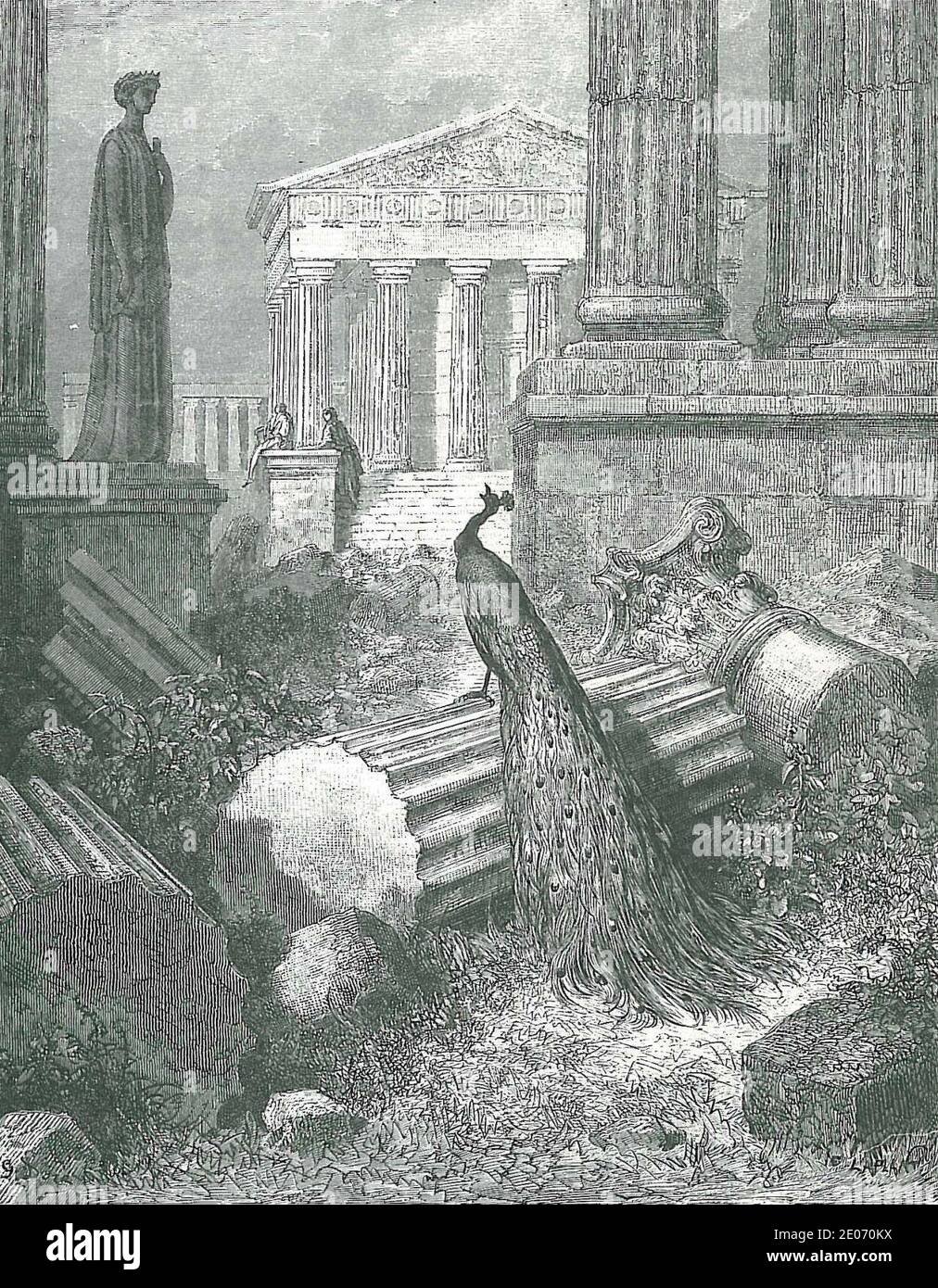 Le Paon se Plaignant a Junon Stock Photo - Alamy