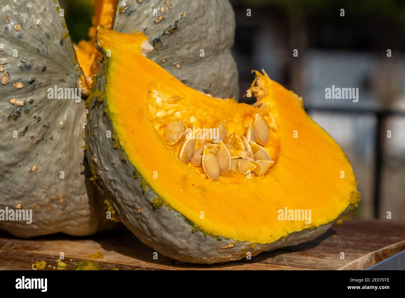 Close up and focus on a sliced pumpkin piece with seeds. The orange ...