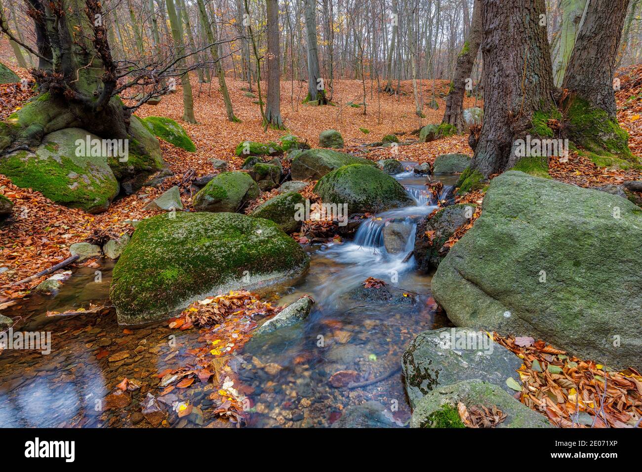 kleiner Bach im Harz Stock Photo - Alamy