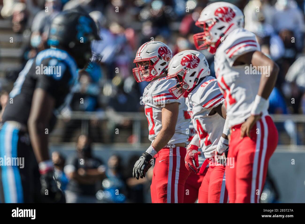 Katy tigers hi-res stock photography and images - Alamy