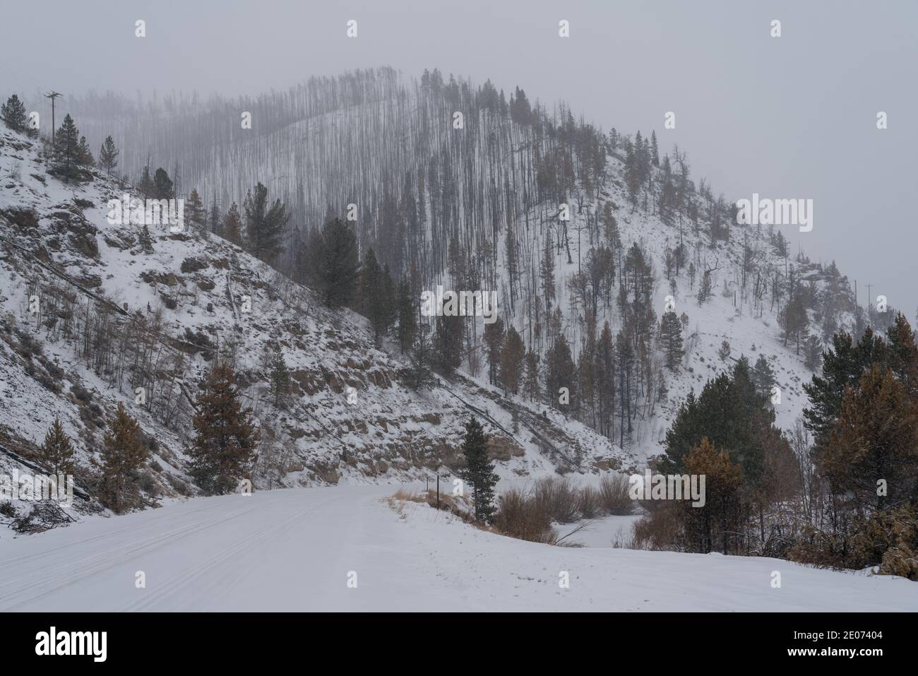 Damage from the East Troublesome Fire, near Grand Lake, Colorado Stock ...