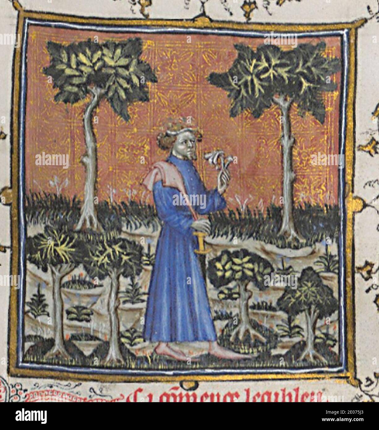 Guillaume de machaut hi-res stock photography and images - Alamy