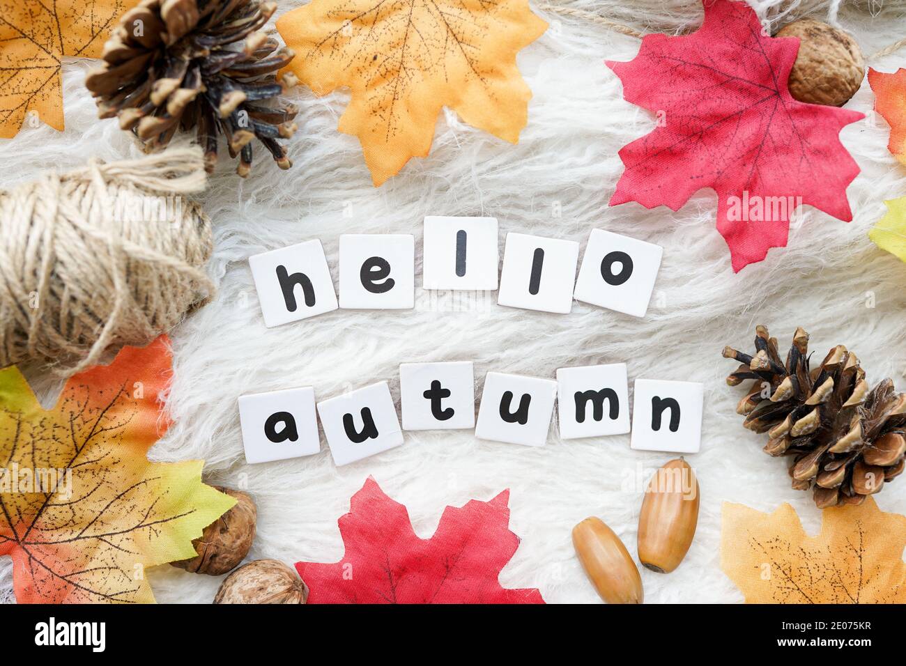 Autumn white background with Hello Autumn letters and autumn nature ...