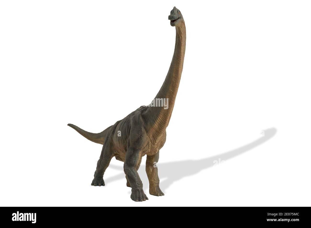 Brontosaurus hi-res stock photography and images - Alamy