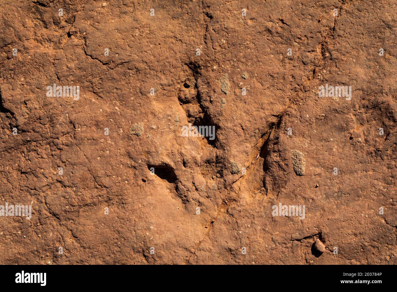 Jurassic track arizona hi-res stock photography and images - Alamy