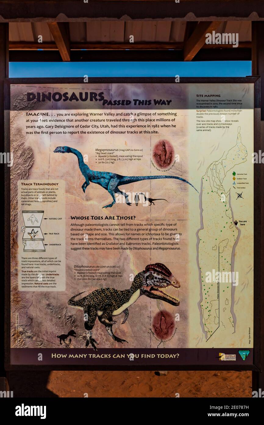Dilophosaurus dinosaurs hi-res stock photography and images - Alamy