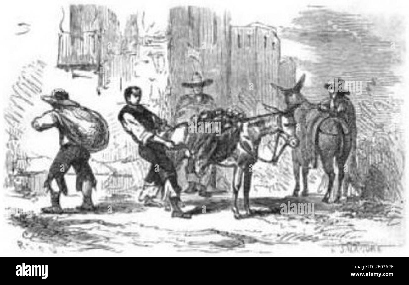 Grey exterior Cut Out Stock Images & Pictures - Alamy