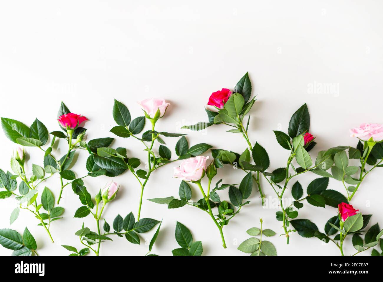 Flowers red and pink from above on white surface Stock Photo - Alamy