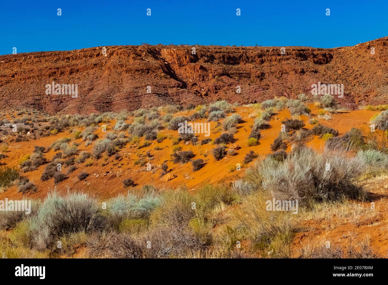 Desert landscape surrounding the Warner Valley Dinosaur Track Site near ...