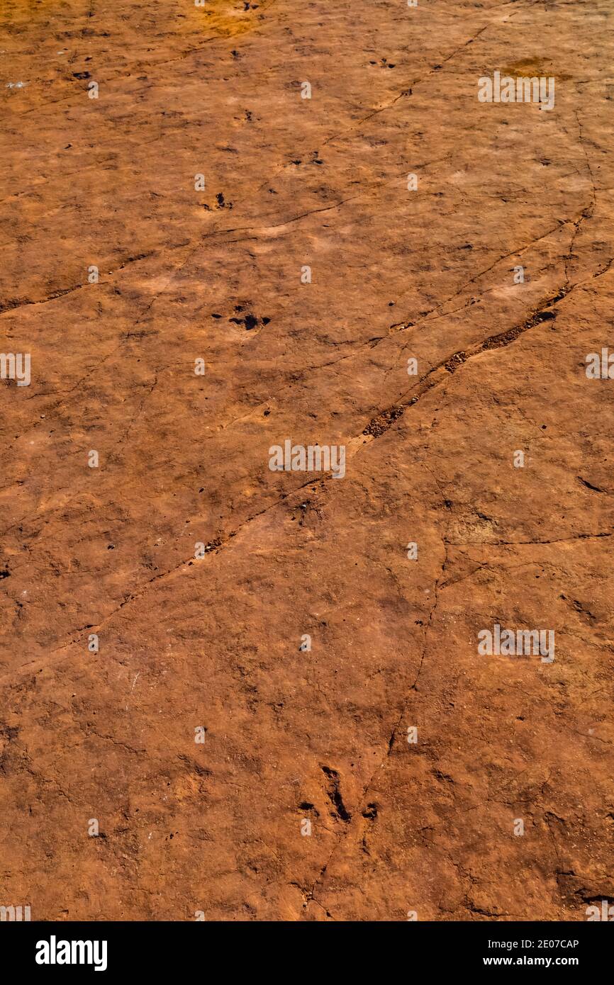 Megapnosaurus track at BLM's Warner Valley Dinosaur Track Site near St ...
