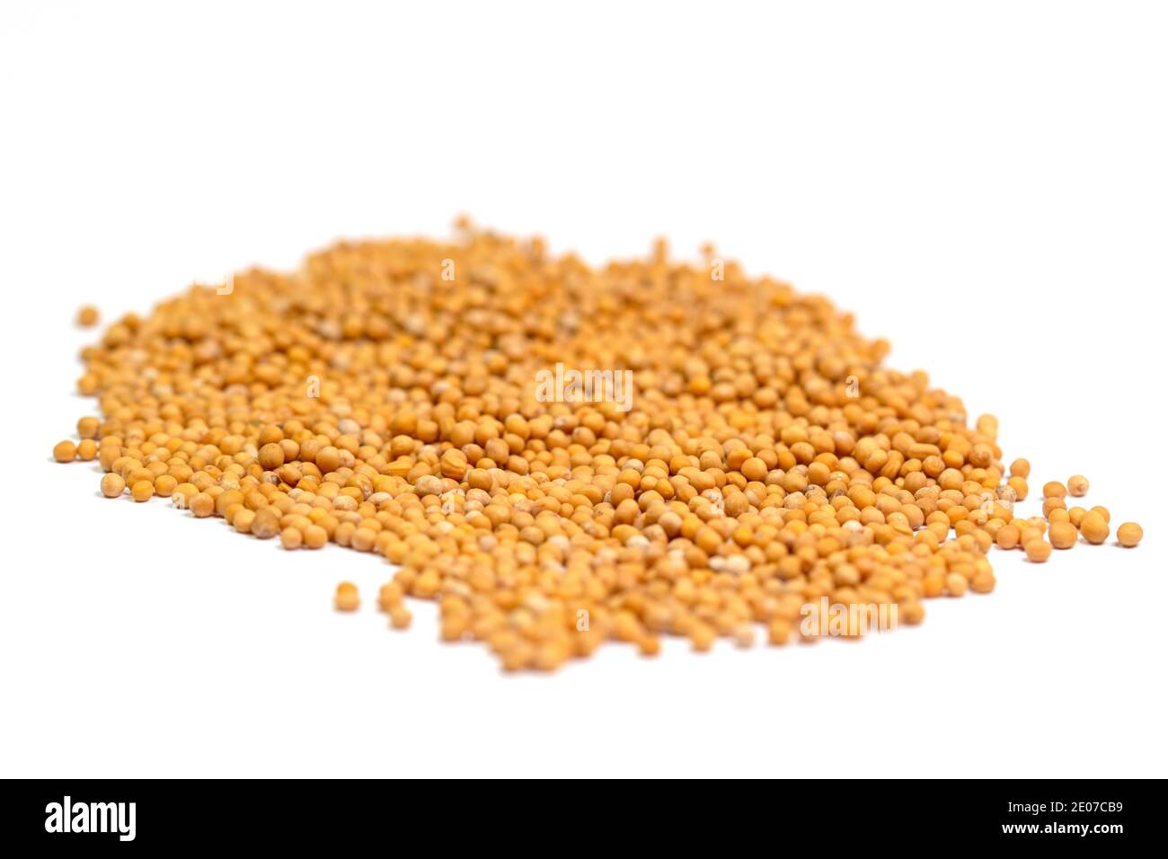 Mustard seeds against white background Stock Photo - Alamy