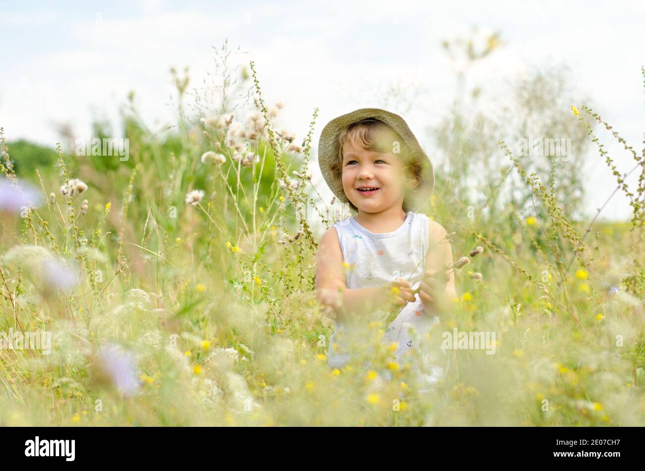 little boy in the meadow Stock Photo - Alamy