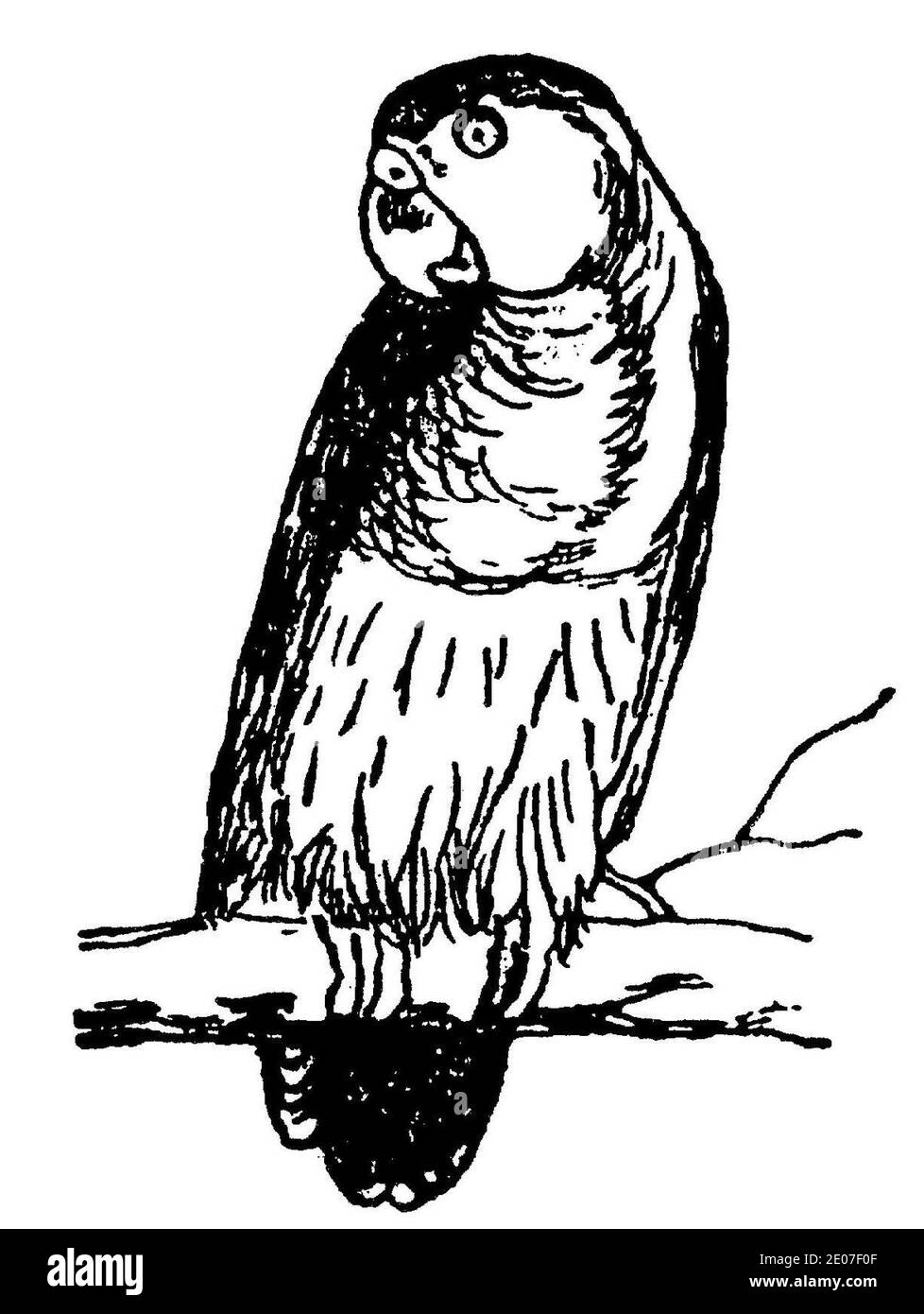 Polly Cut Out Stock Images & Pictures - Alamy