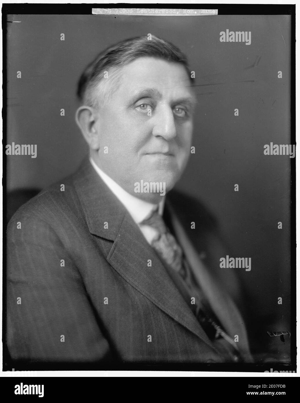 Leatherwood tree hi-res stock photography and images - Alamy