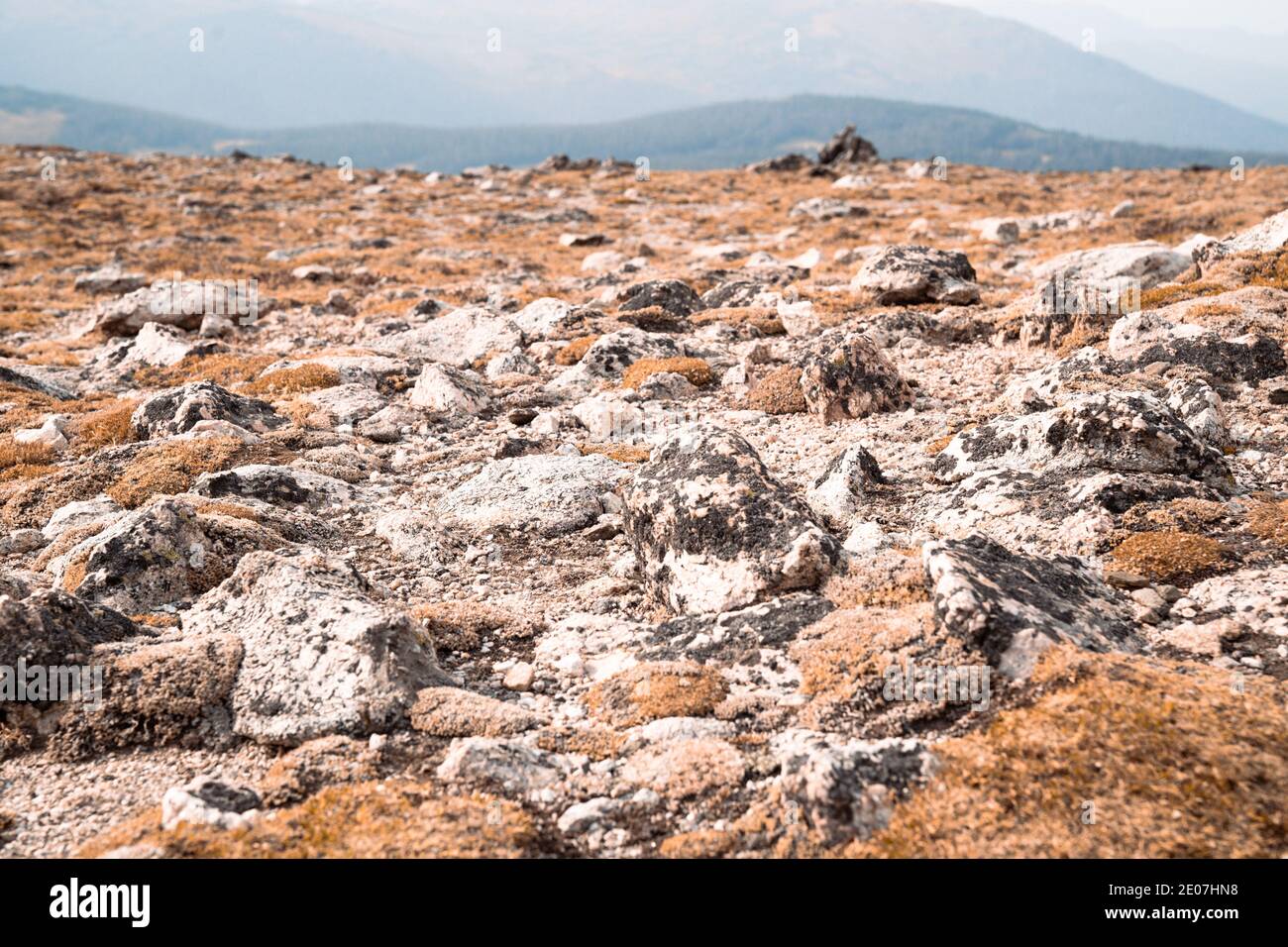 The rocky tundra along Alpine Ridge Trail in Rocky Mountain National ...