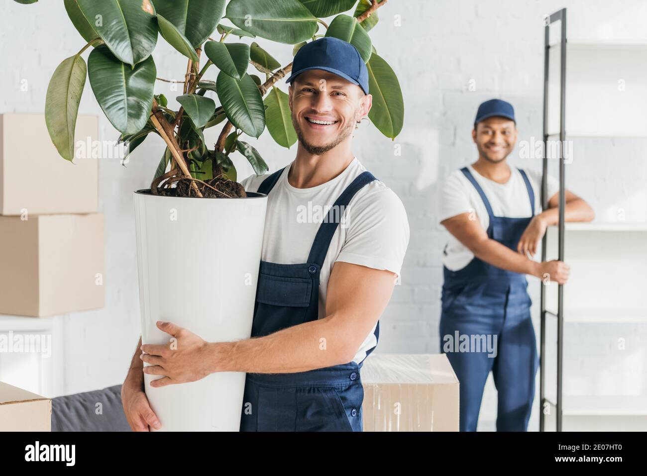 cheerful mover holding green plant near indian coworker standing near ...