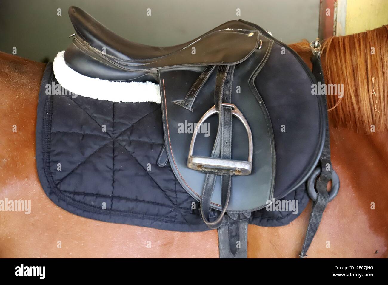 Old leather saddle with stirrups for show jumping race Saddle on a back ...