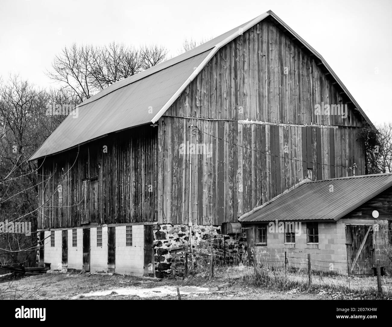 weathered wooden old farm agricultural barn in the winter farmland ...