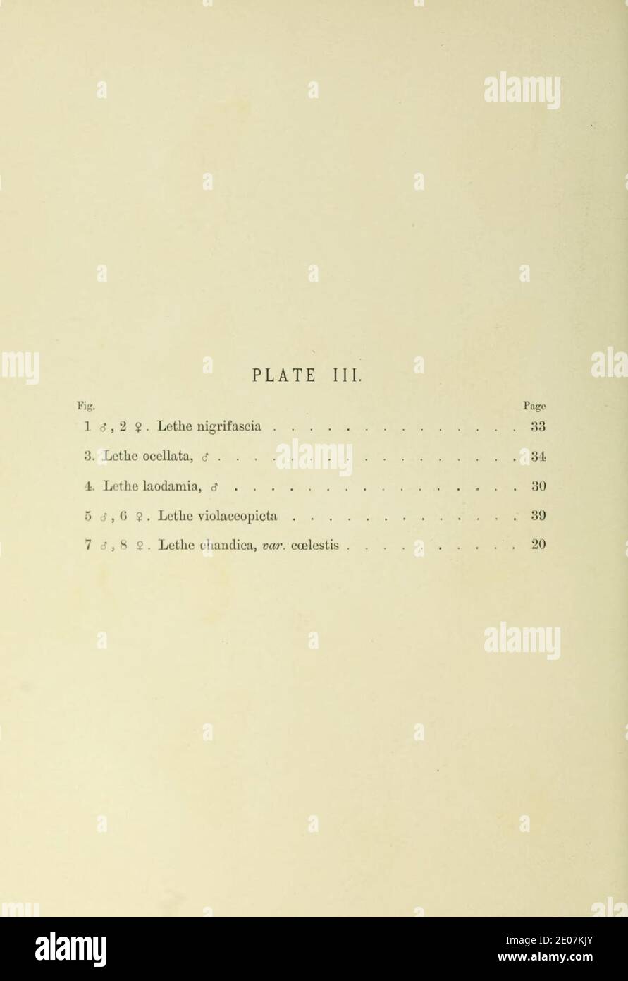 Leech China Plate III Text Stock Photo - Alamy
