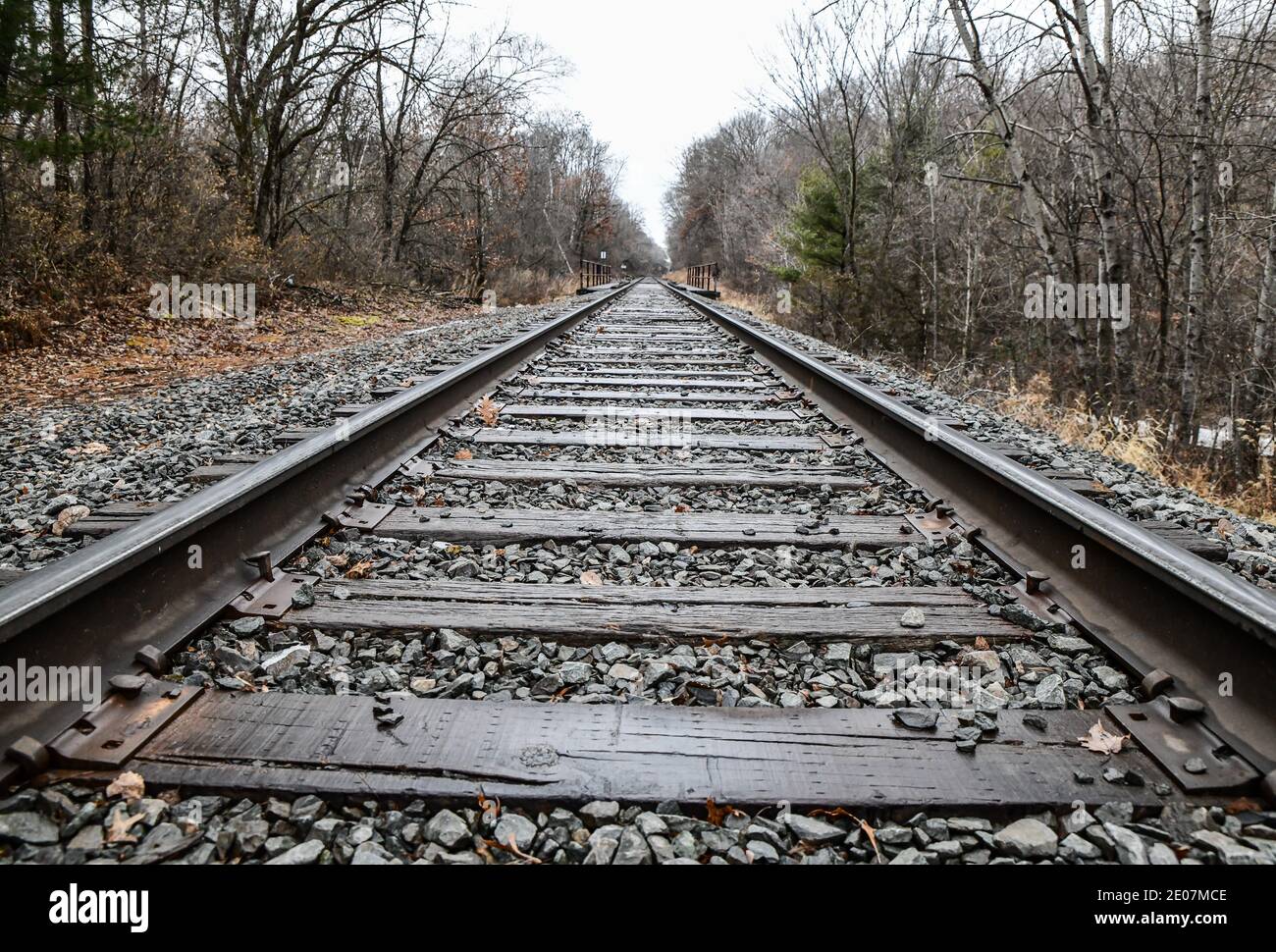Looking down empty steel railroad train tracks Stock Photo - Alamy