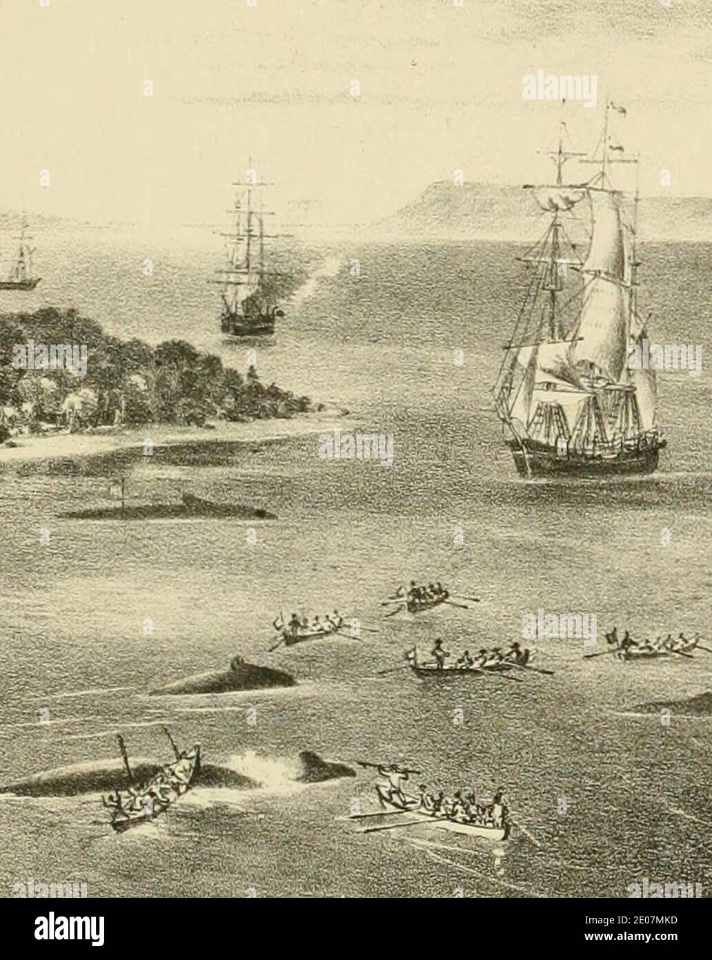 Left center, ''Whaling Scene in the California Lagoons'' 1874 ...