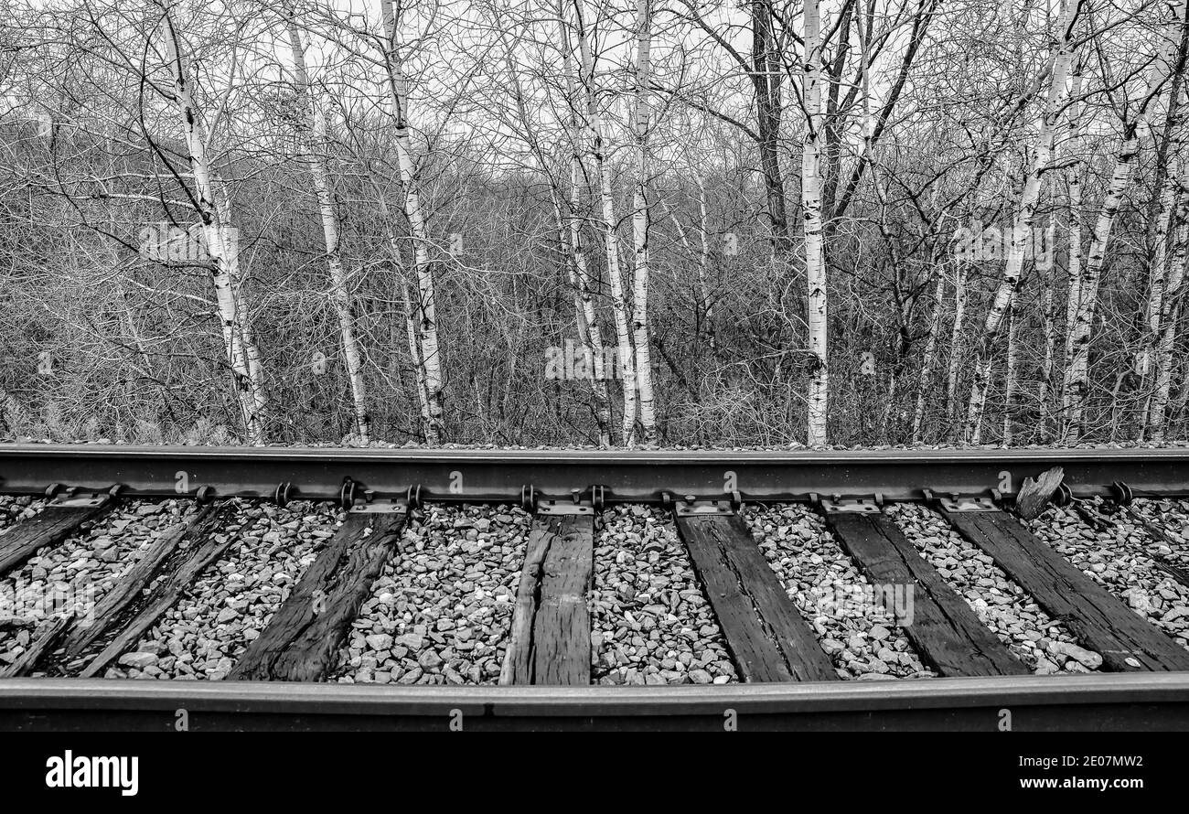 Looking down empty steel railroad train tracks Stock Photo - Alamy