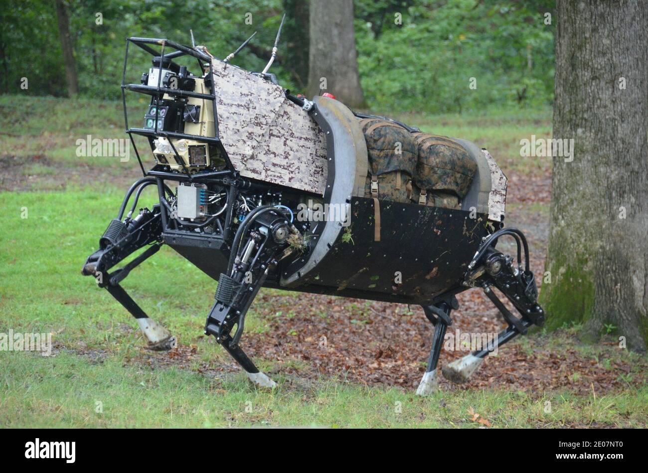 Legged Squad Support System robot prototype Stock Photo - Alamy