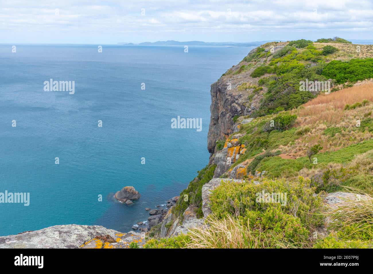 The Nut state reserve at Stanley, Australia Stock Photo - Alamy