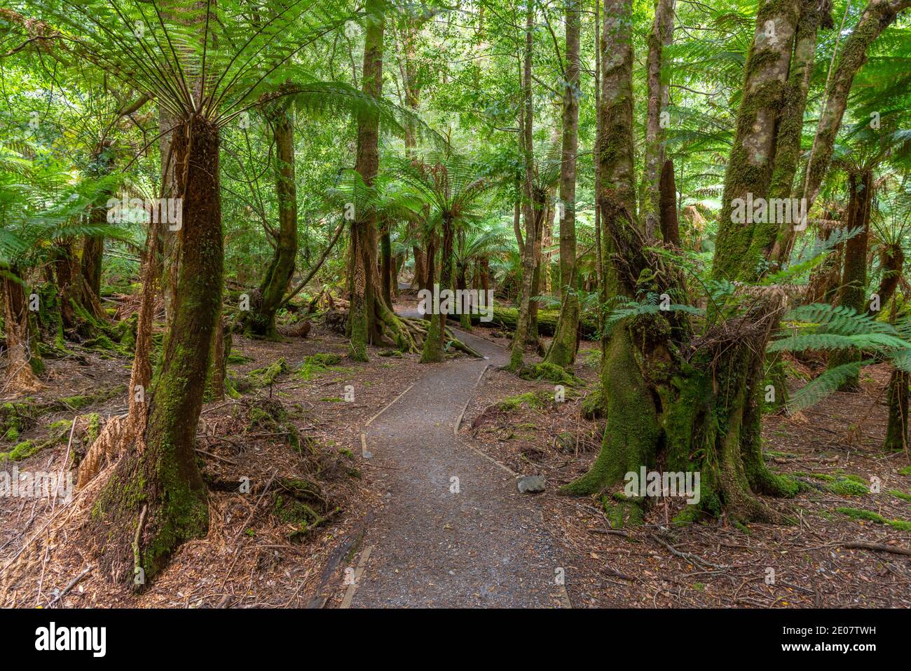 Takayna tarkine hi-res stock photography and images - Alamy