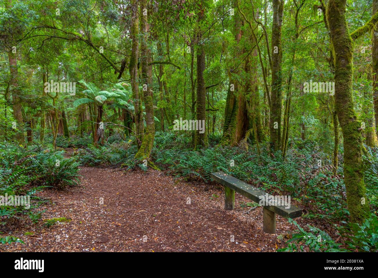 The tarkine drive hi-res stock photography and images - Alamy