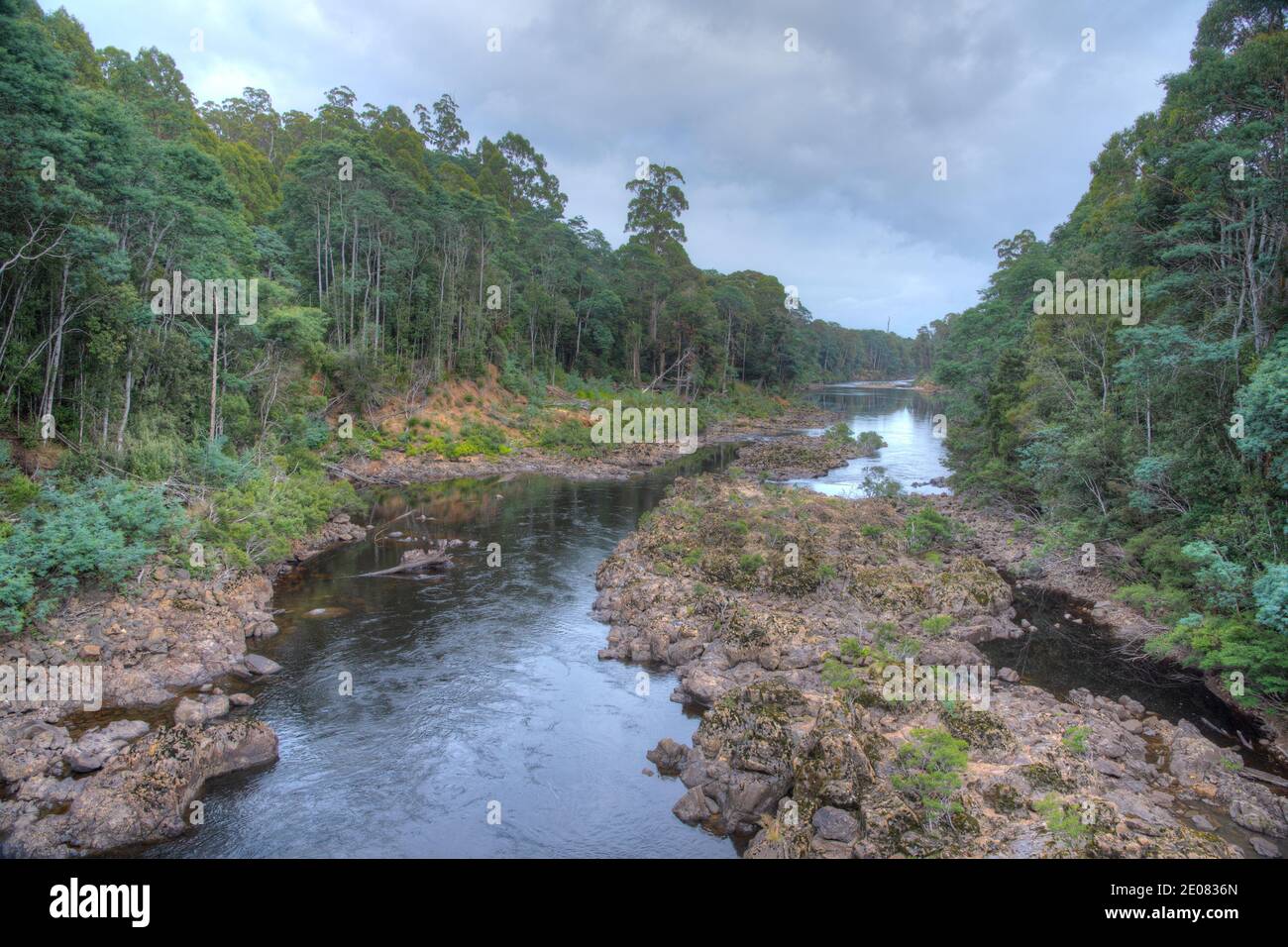 Myrtle forest in tasmania australia hi-res stock photography and images ...