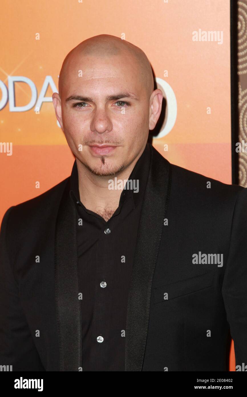 Pitbull Musician Eyes