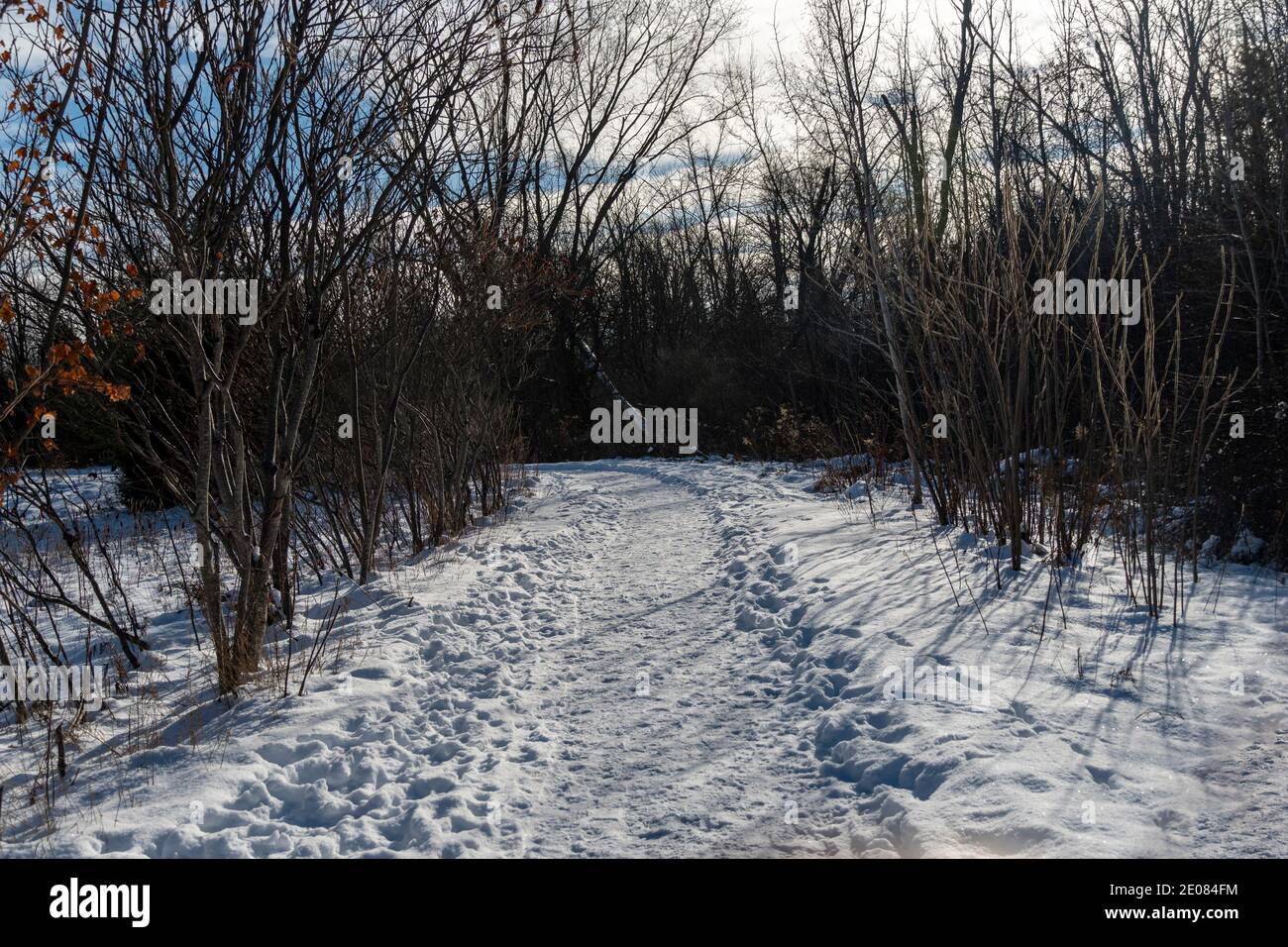 Frost trail hi-res stock photography and images - Alamy