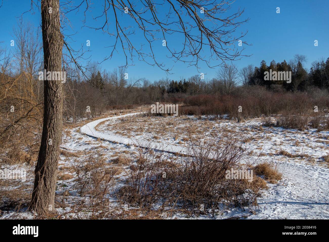 Frost trail hi-res stock photography and images - Alamy