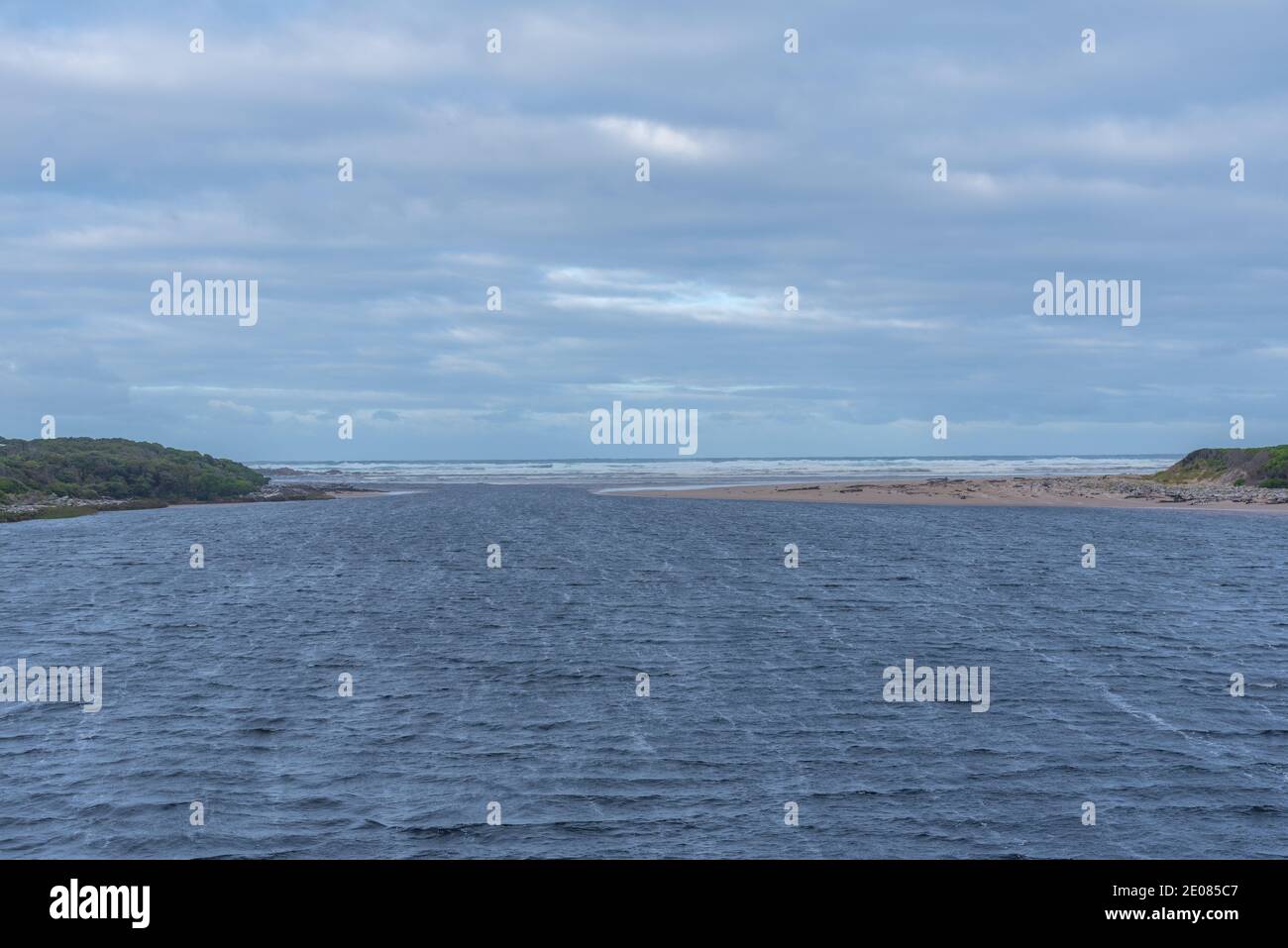 Beautiful biodiversity australia hi-res stock photography and images ...