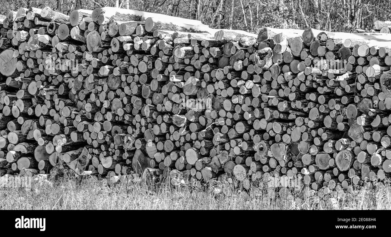 Deforestation Black and White Stock Photos & Images - Alamy