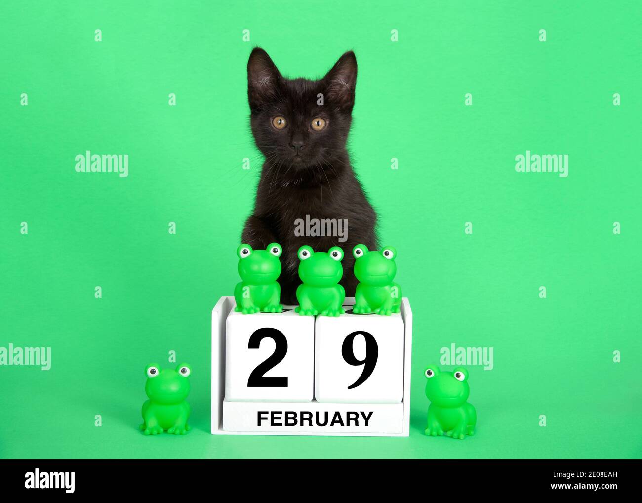 29th february calendar hi-res stock photography and images - Alamy