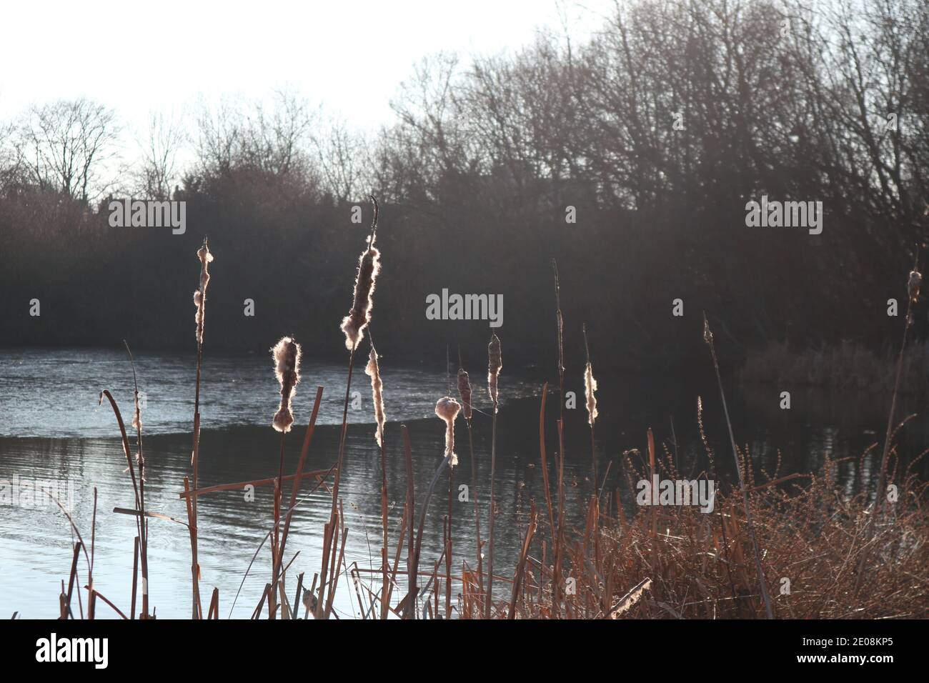 Wanstead park lake hi-res stock photography and images - Alamy