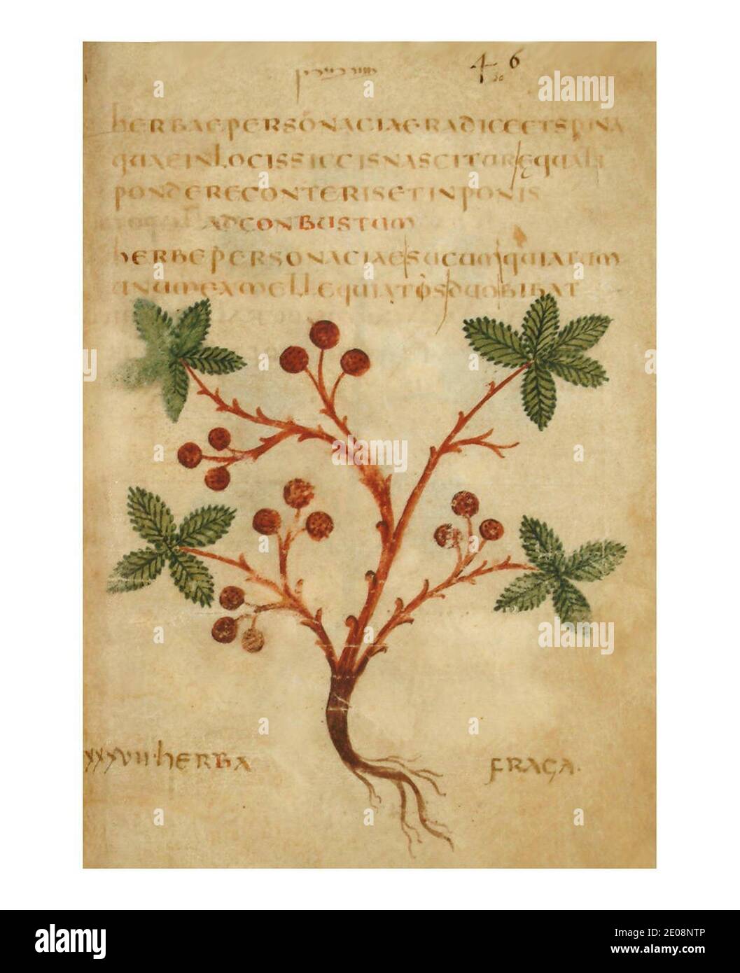 Fraga hi-res stock photography and images - Alamy