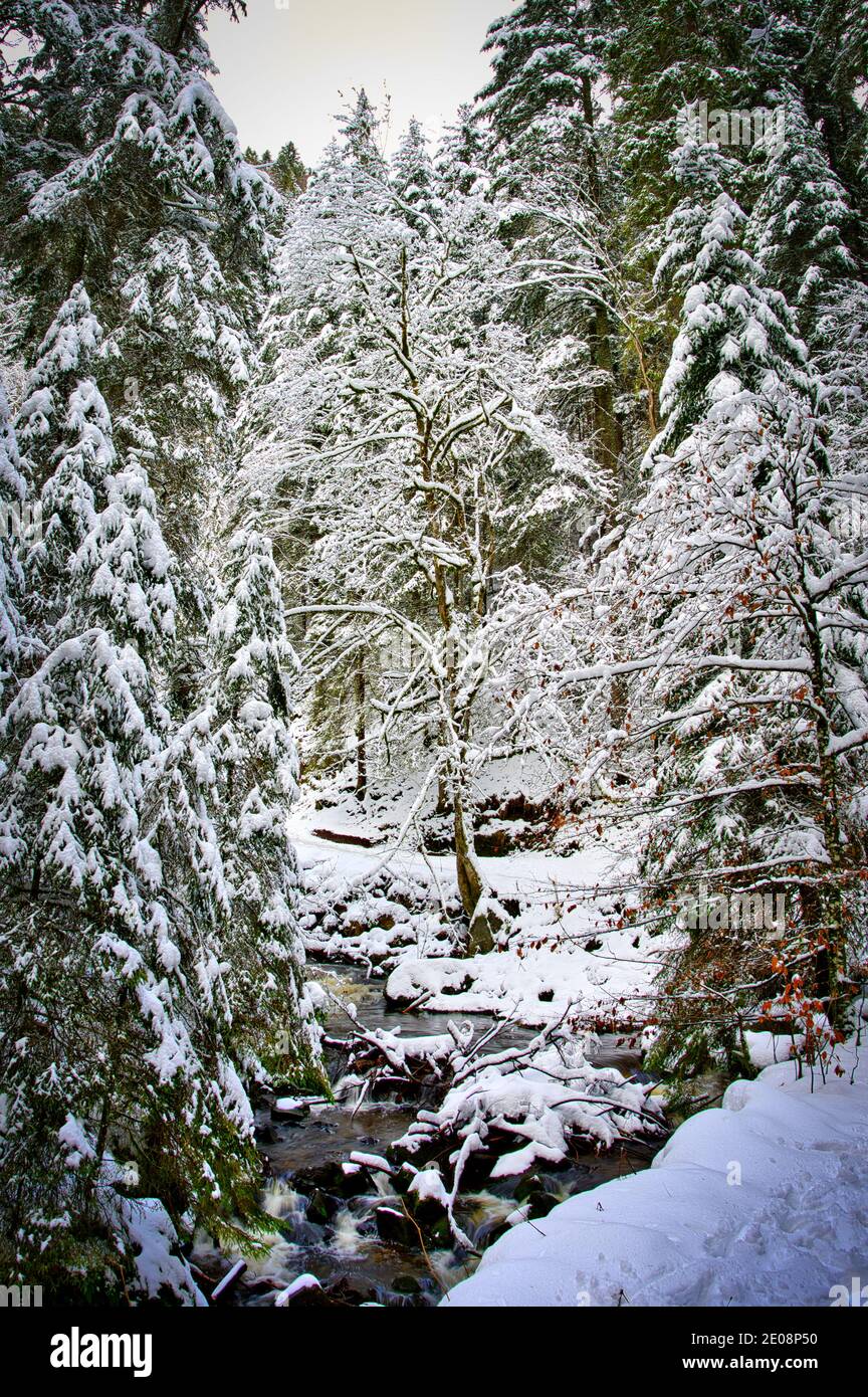 Ravennaschlucht Viaduct Winter Germany Stock Photo - Alamy