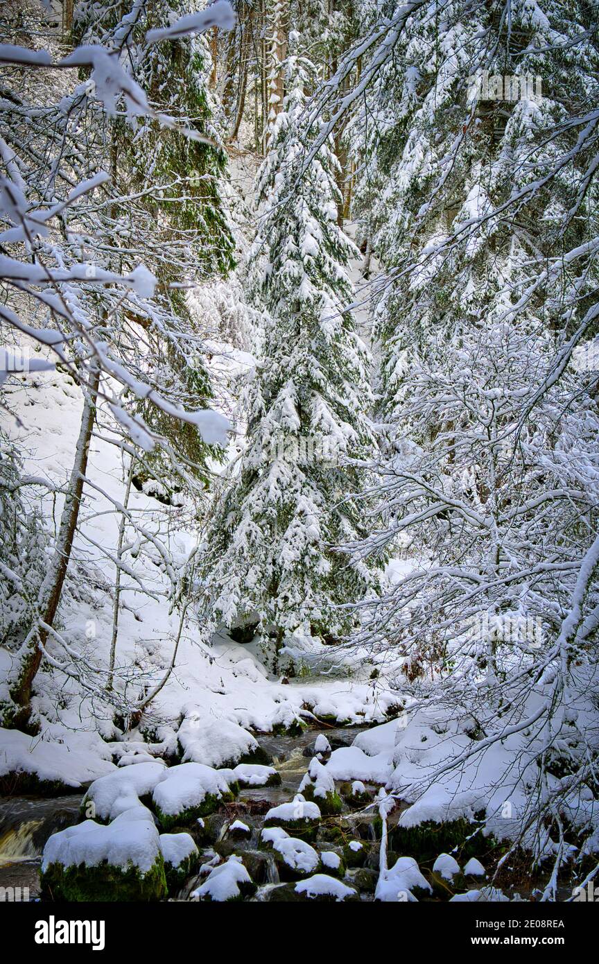 Ravennaschlucht Viaduct Winter Germany Stock Photo - Alamy