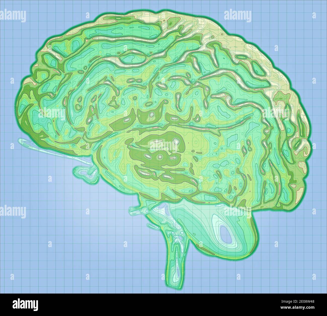 Geographic map of the brain, reworking of the human brain in the form ...