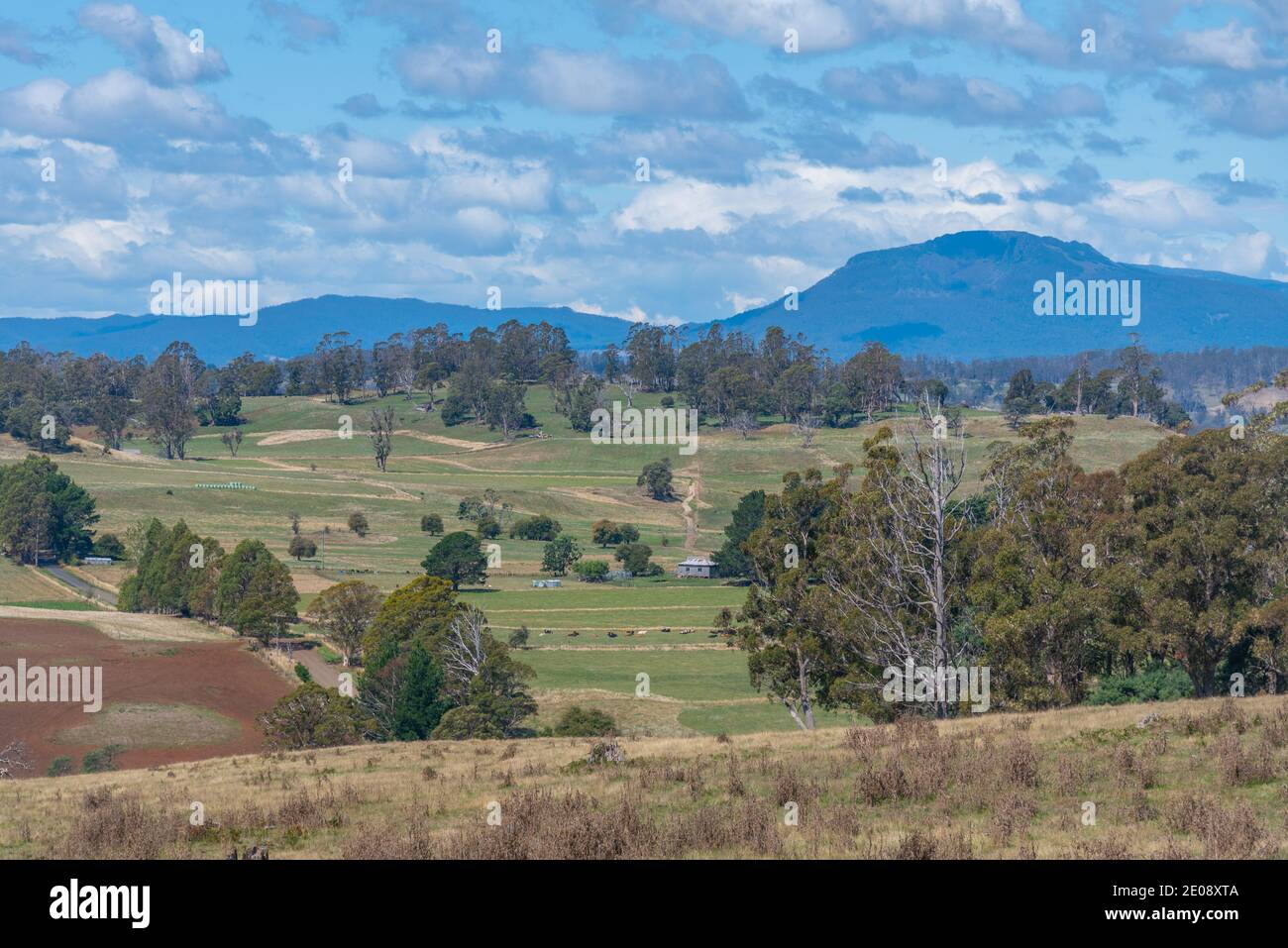 Australian farm forest aerial hi-res stock photography and images - Alamy