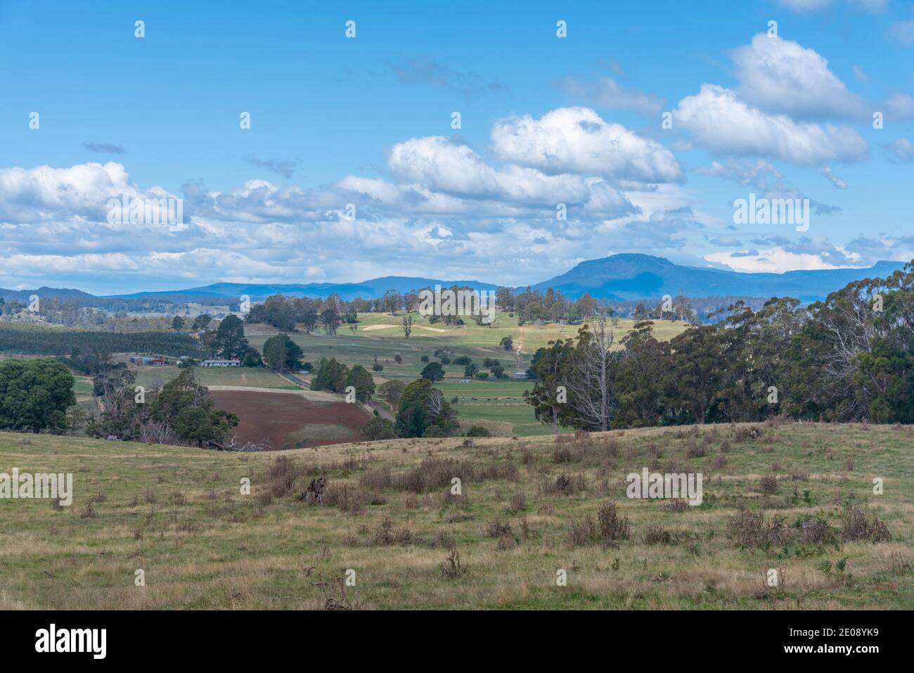 Tasmanian agriculture hi-res stock photography and images - Alamy