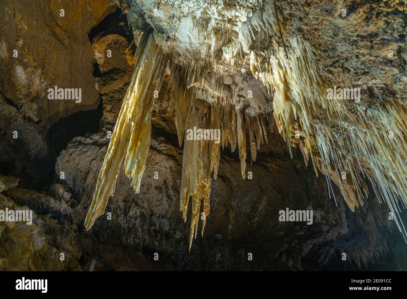Marakoopa cave in Tasmania, Australia Stock Photo - Alamy