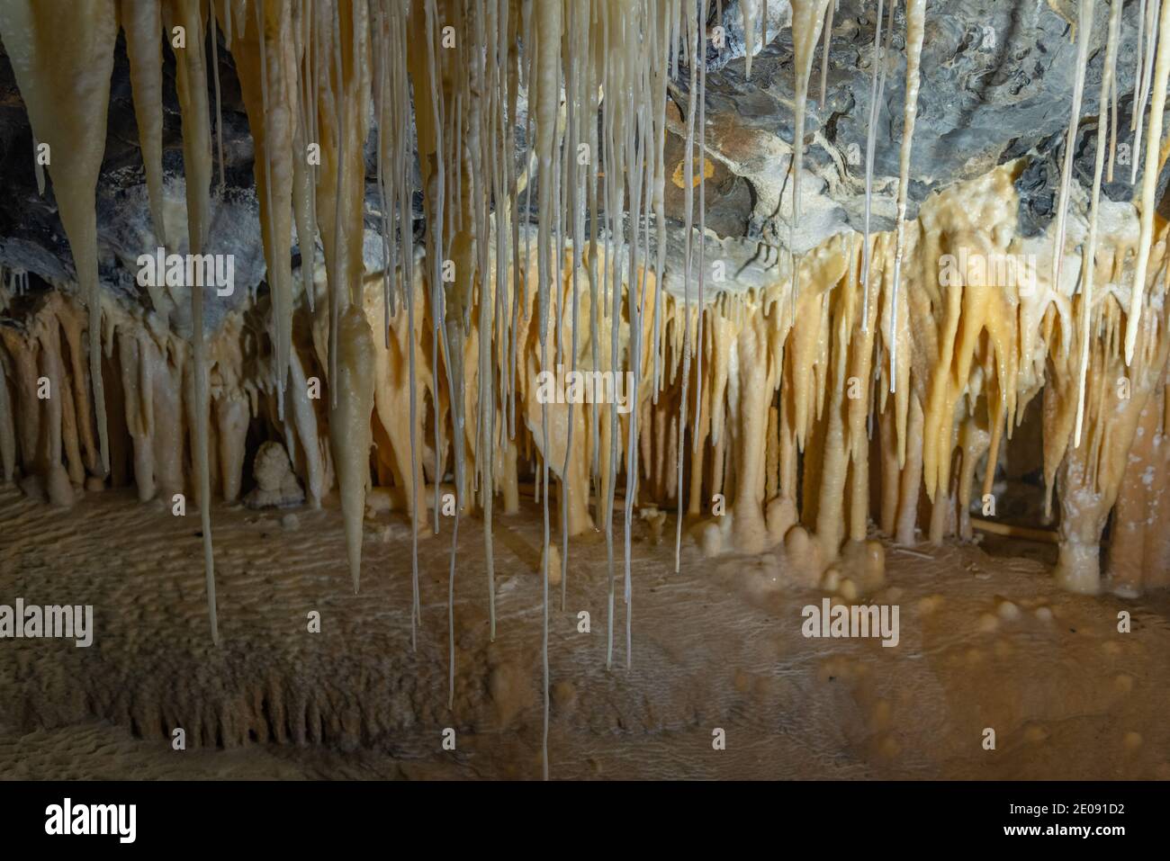 Marakoopa cave in Tasmania, Australia Stock Photo - Alamy