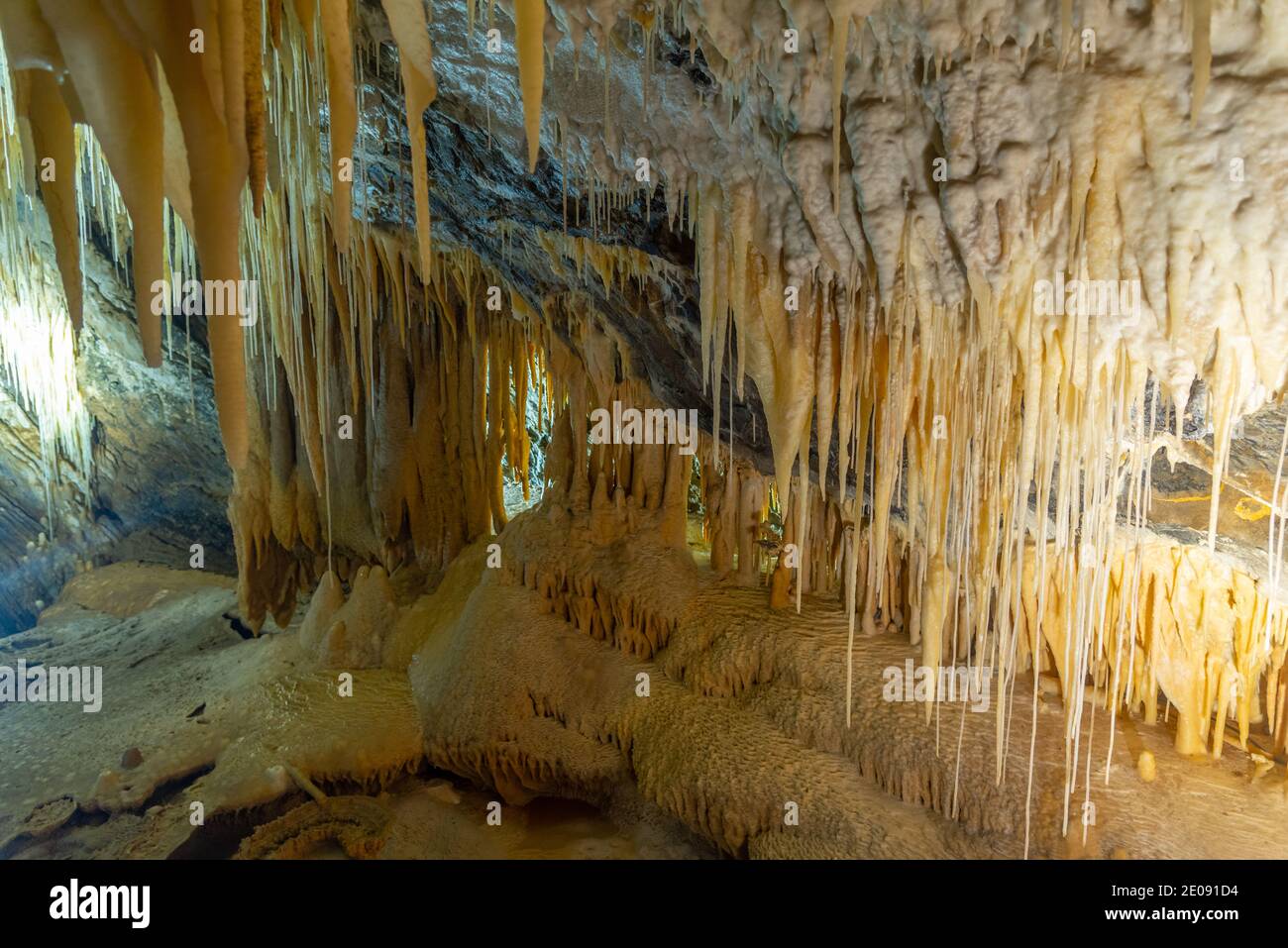 Marakoopa cave in Tasmania, Australia Stock Photo - Alamy