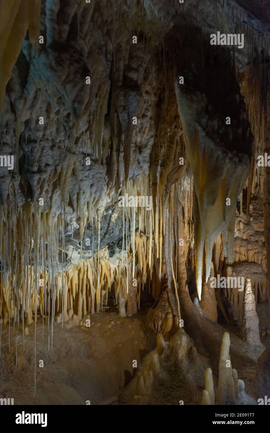 Marakoopa cave in Tasmania, Australia Stock Photo - Alamy
