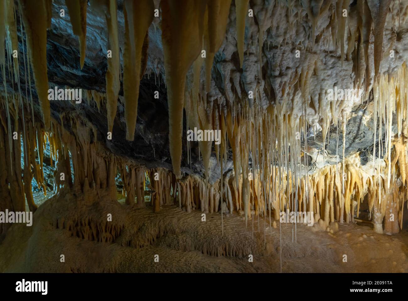 Marakoopa cave in Tasmania, Australia Stock Photo - Alamy
